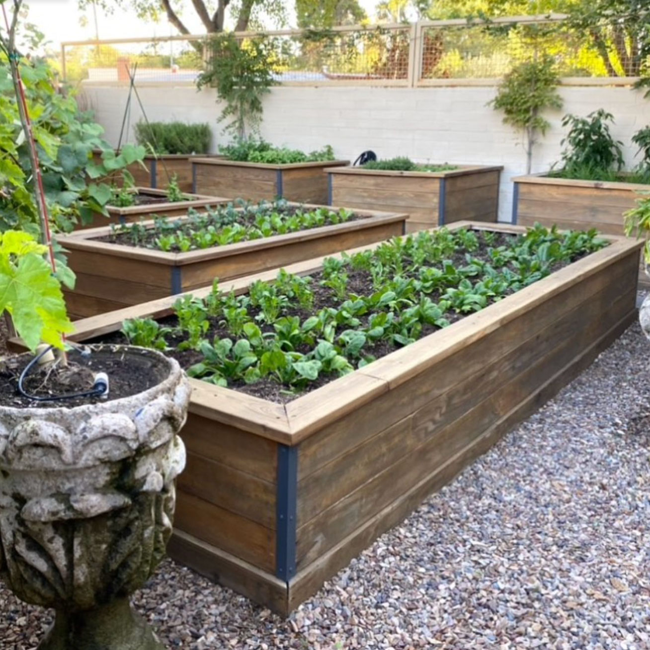 Raised Bed Garden Designs How To Design A Front Yard Raised Bed