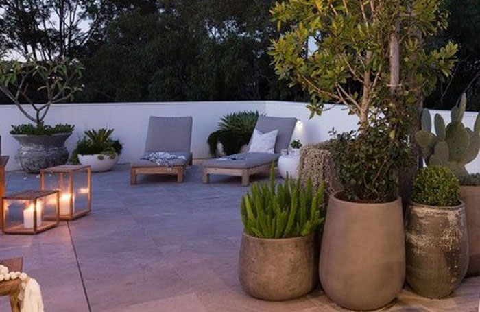 Ideas for landscaping with potted plants - New Zealand Handyman Magazine